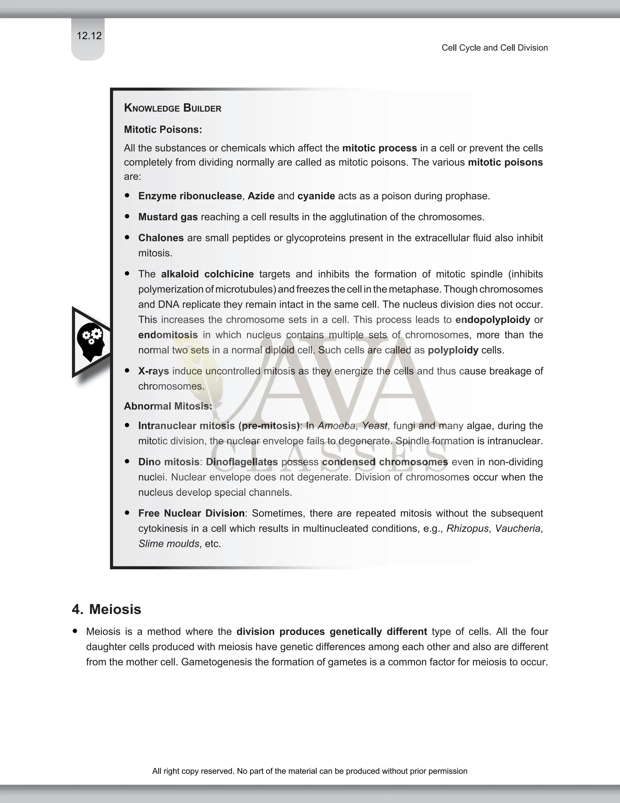 Cell Cycle and Cell Division Class 11 Important Notes for NEET Biology ...