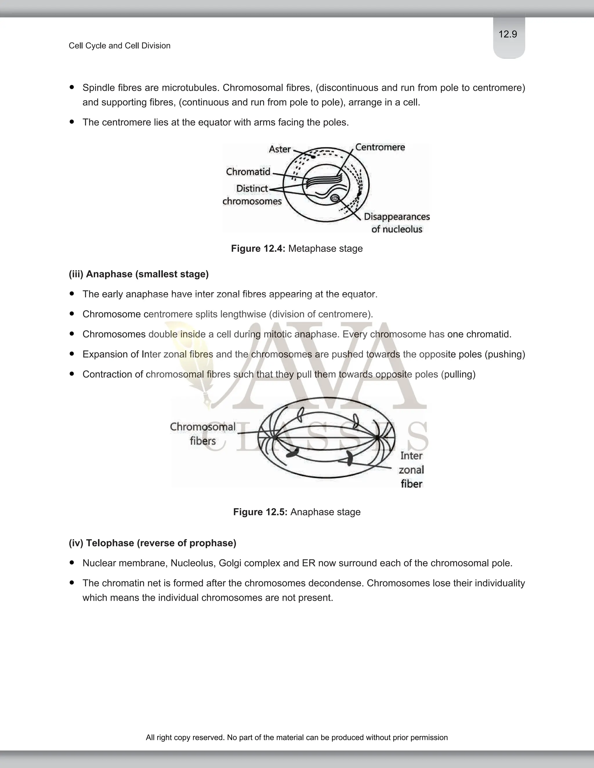 Cell Cycle and Cell Division Class 11 Important Notes for NEET Biology ...