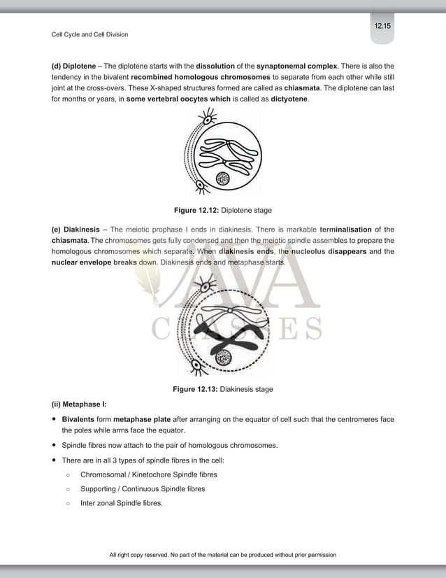 Cell Cycle and Cell Division Class 11 Important Notes for NEET Biology ...