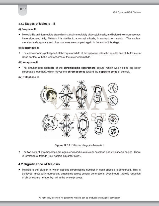 Cell Cycle and Cell Division Class 11 Important Notes for NEET Biology ...