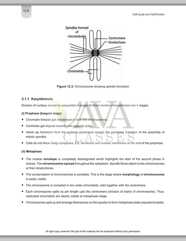 Cell Cycle and Cell Division Class 11 Important Notes for NEET Biology ...
