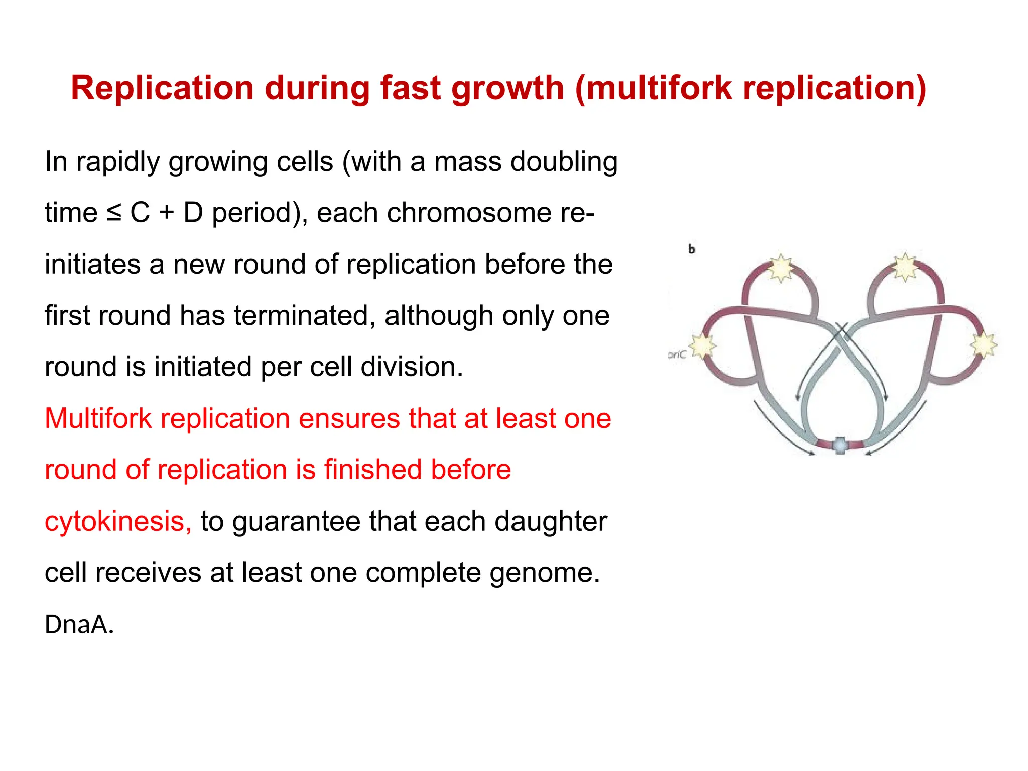 cell cycle and cell division.pptx cell growth | PPTX