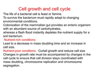 cell cycle and cell division.pptx cell growth | PPTX