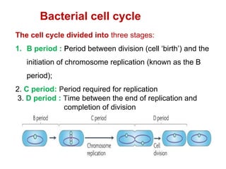 cell cycle and cell division.pptx cell growth | PPTX