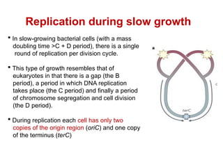 cell cycle and cell division.pptx cell growth | PPTX