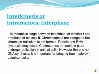 CELL CYCLE AND CELL DIVISION meiosis.pptx