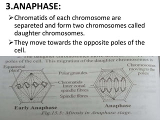 Cell cycle and check points | PPTX