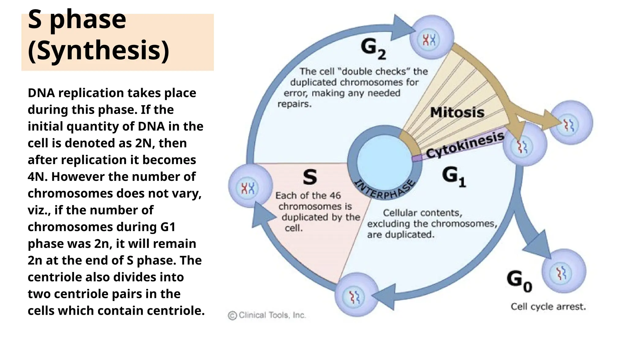 Cell cycle and it's control system .pptx