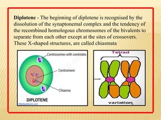 Cell cycle and division | PPTX