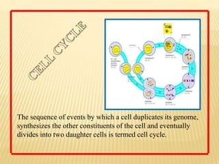 Cell cycle and division | PPTX