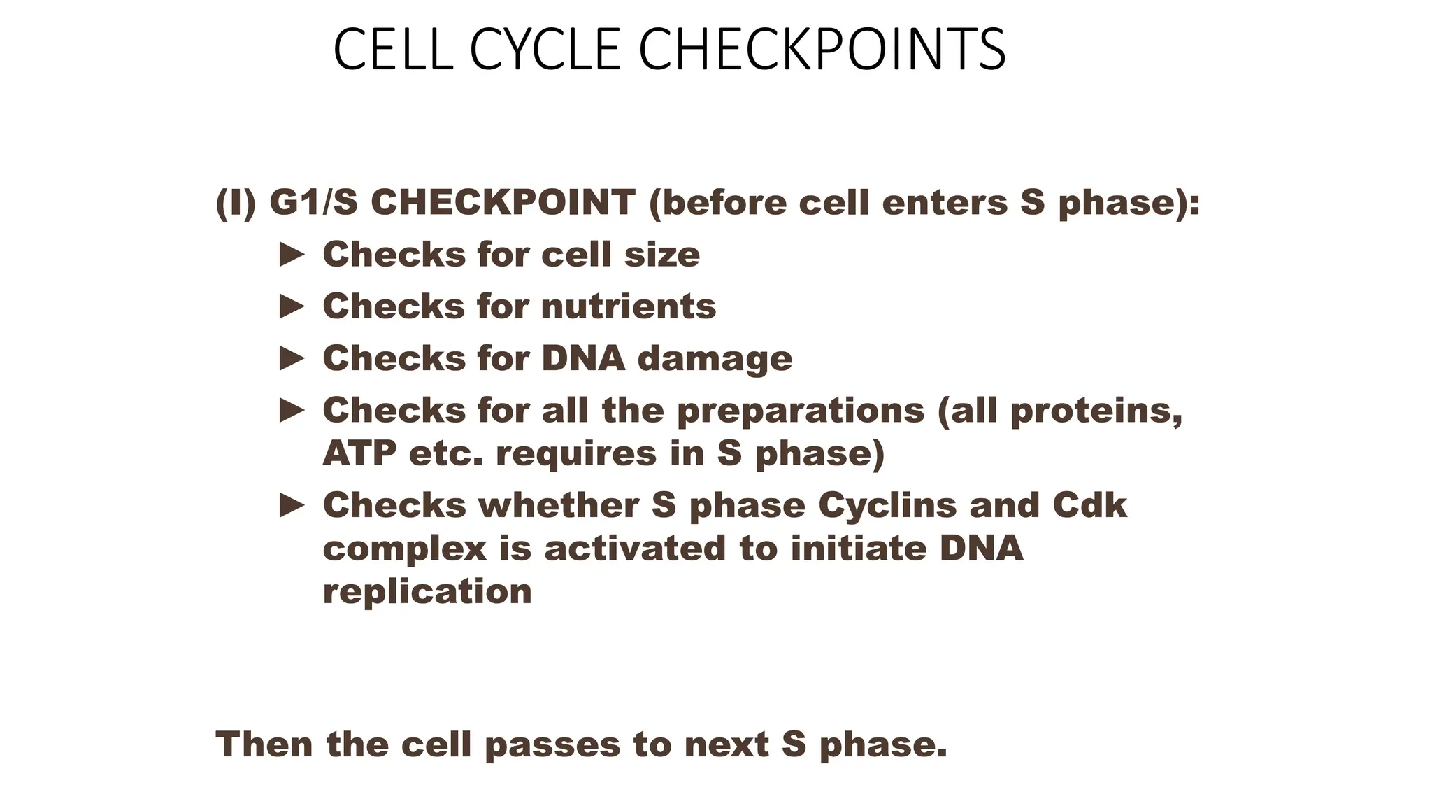 Cell Cycle and Division Human Anatomy and Physiology | PPTX