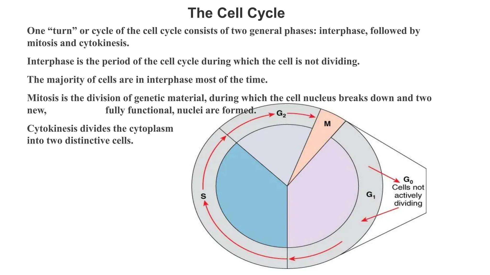 Cell Cycle and Division Human Anatomy and Physiology | PPTX