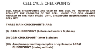 Cell Cycle and Division Human Anatomy and Physiology | PPT