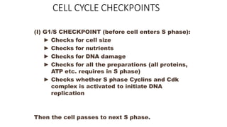 Cell Cycle and Division Human Anatomy and Physiology | PPTX
