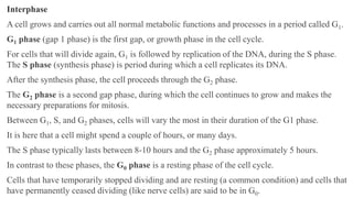 Cell Cycle and Division Human Anatomy and Physiology | PPT