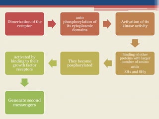 Cell cycle and growth regulation | PPTX