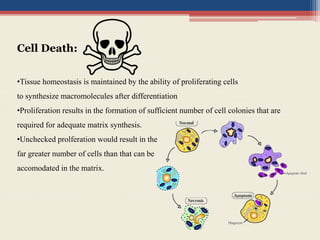 Cell cycle and growth regulation | PPTX