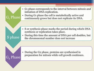 Cell cycle and growth regulation | PPTX