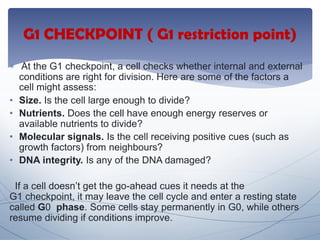 Cell cycle and its checkpoints | PDF