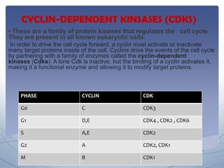 Cell cycle and its checkpoints | PDF