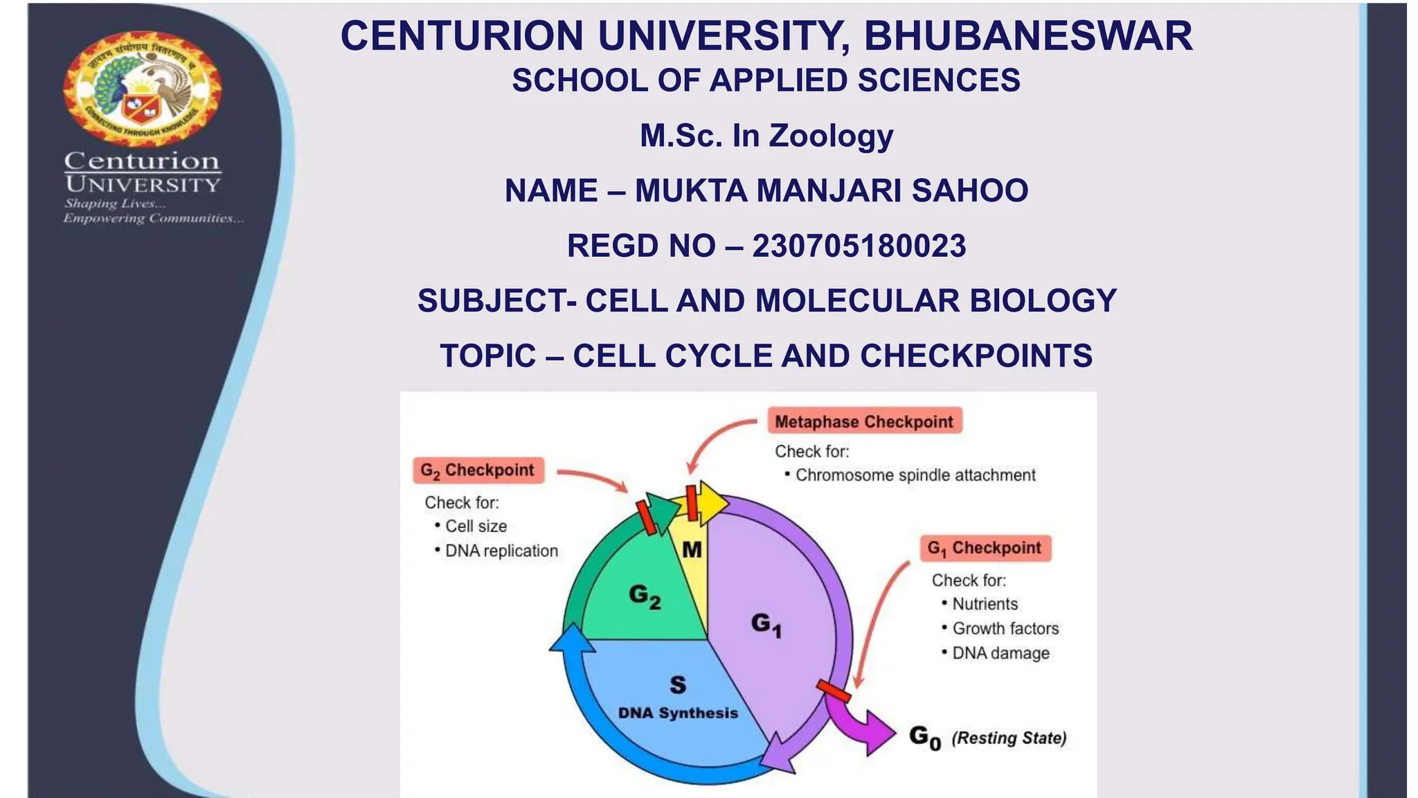 Cell cycle and it's checkpoints. Cell regulations | PPT