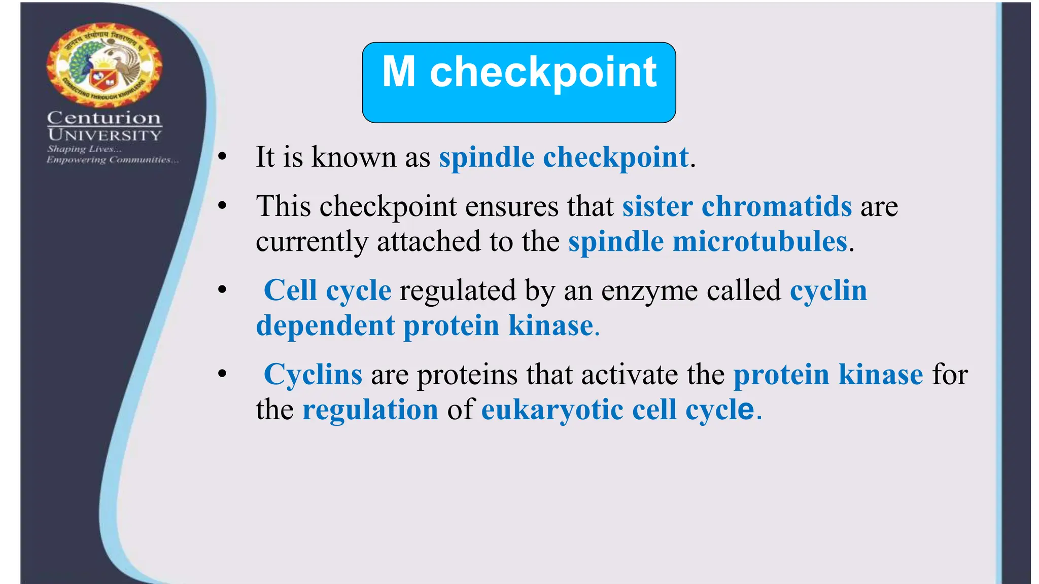 Cell cycle and it's checkpoints. Cell regulations | PPT