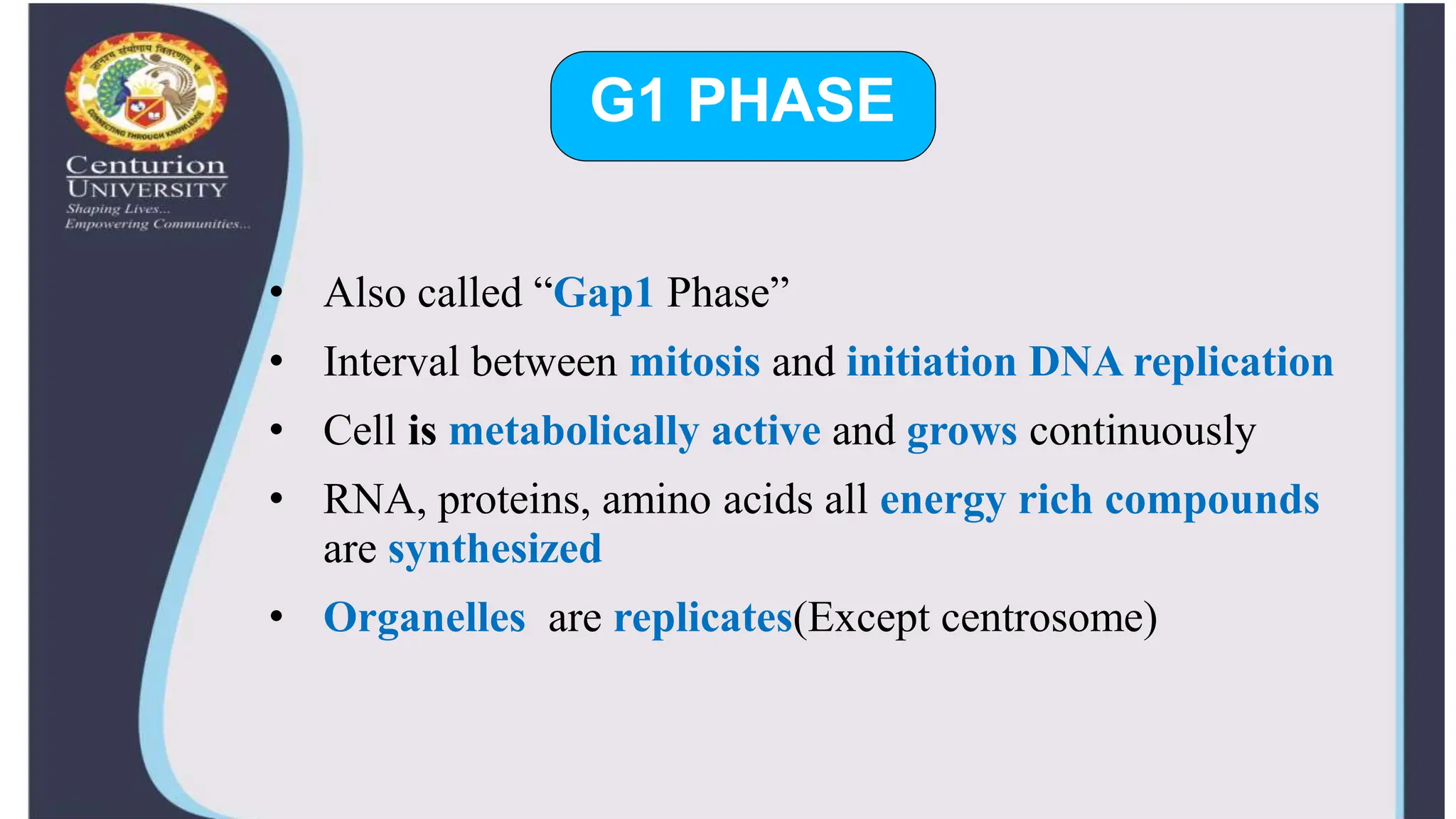 Cell cycle and it's checkpoints. Cell regulations | PPTX