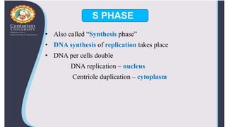 Cell cycle and it's checkpoints. Cell regulations | PPT