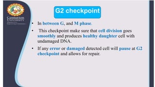 Cell cycle and it's checkpoints. Cell regulations | PPT
