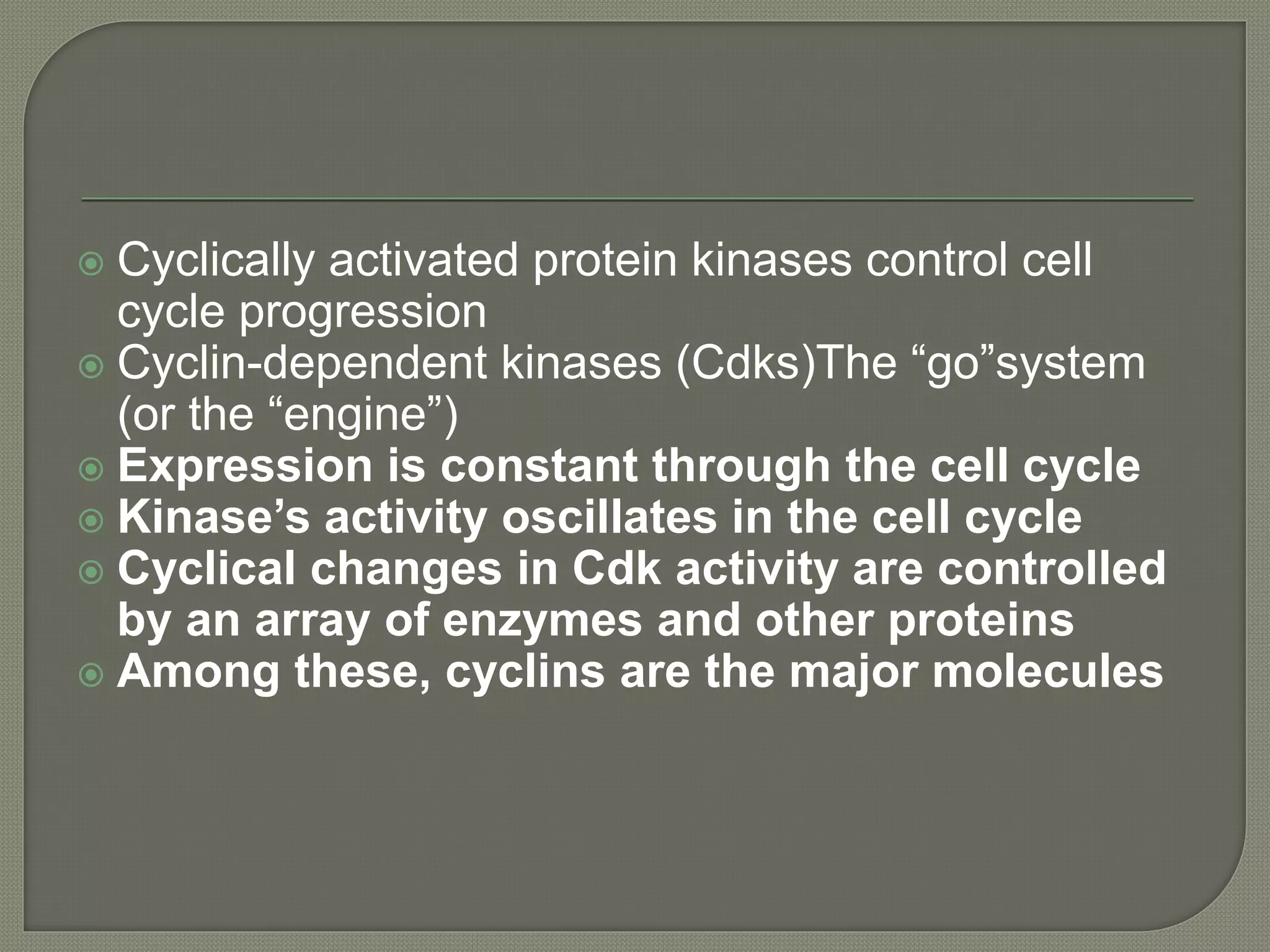Cell cycle and its regulation | PPTX