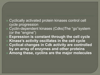 Cell cycle and its regulation | PPTX | Biological Sciences | Science