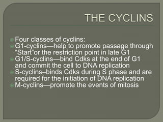 Cell cycle and its regulation | PPTX