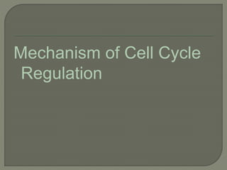 Cell cycle and its regulation | PPTX