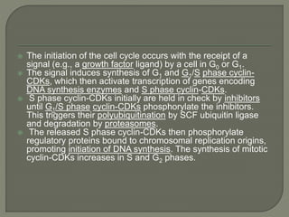 Cell cycle and its regulation | PPTX