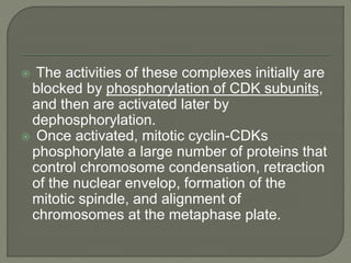 Cell cycle and its regulation | PPTX