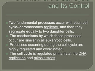 Cell cycle and its regulation | PPTX
