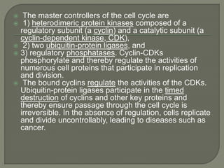Cell cycle and its regulation | PPTX