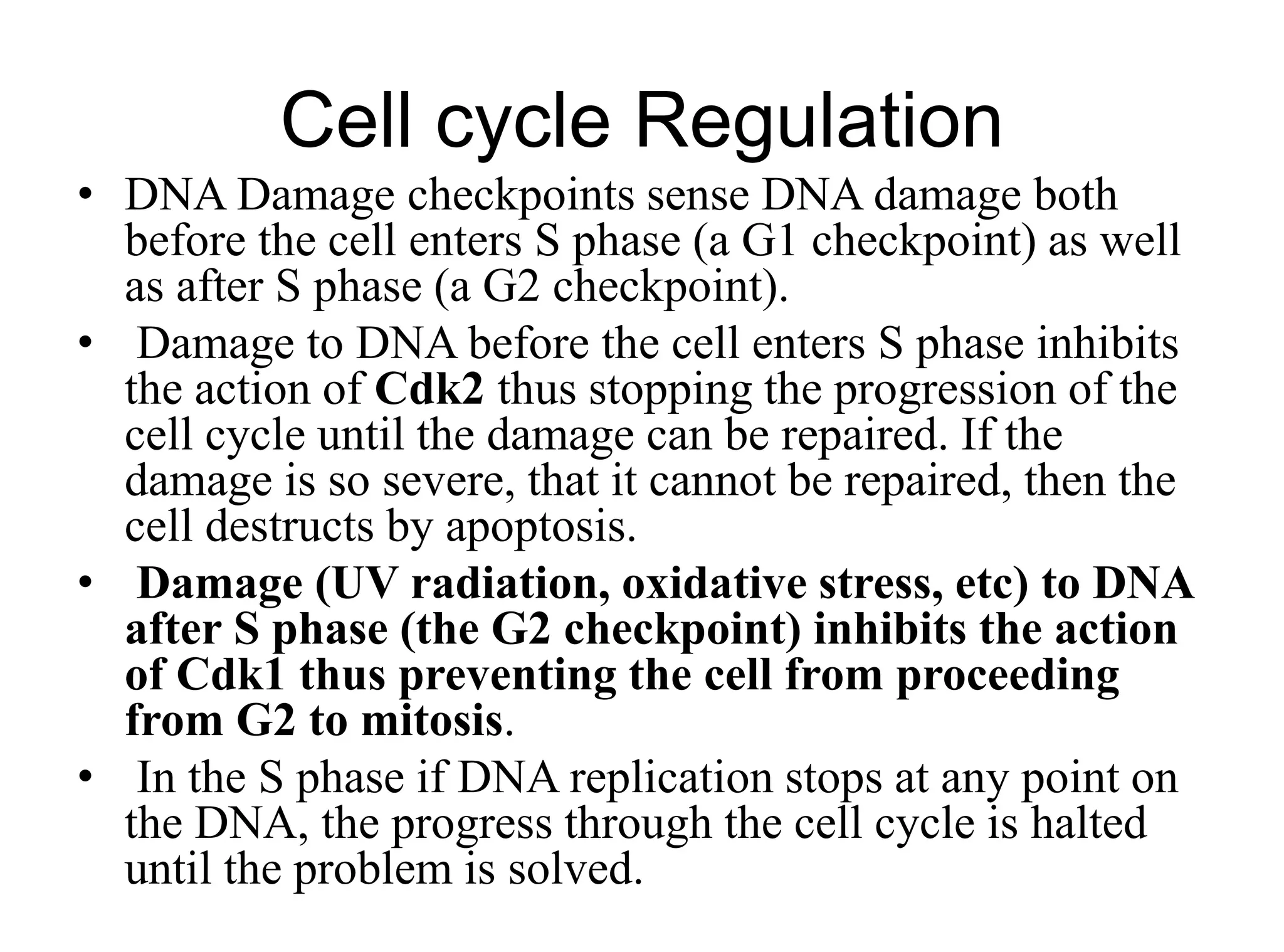 Cell cycle and its regulation | PPTX