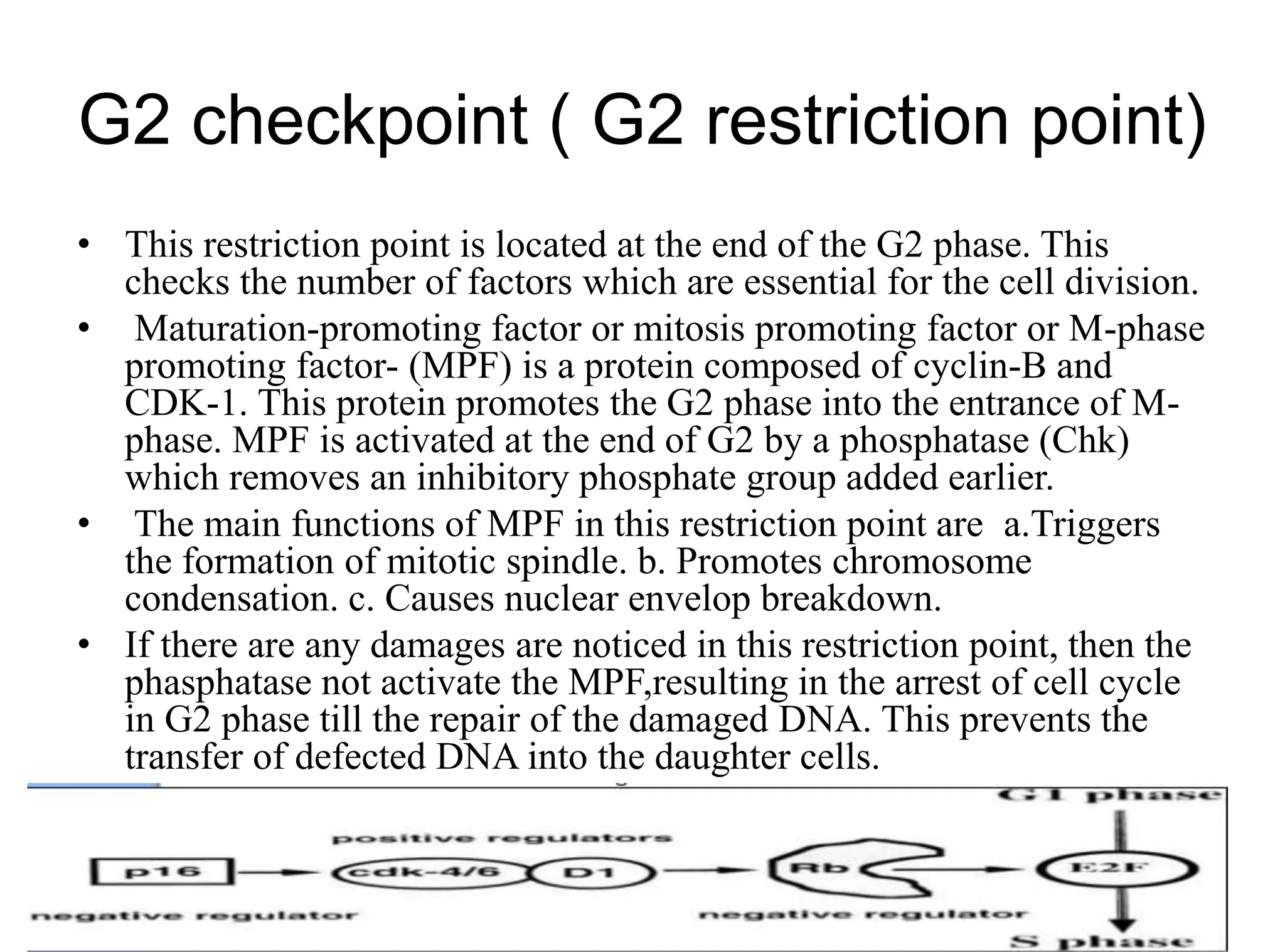Cell cycle and its regulation | PPTX