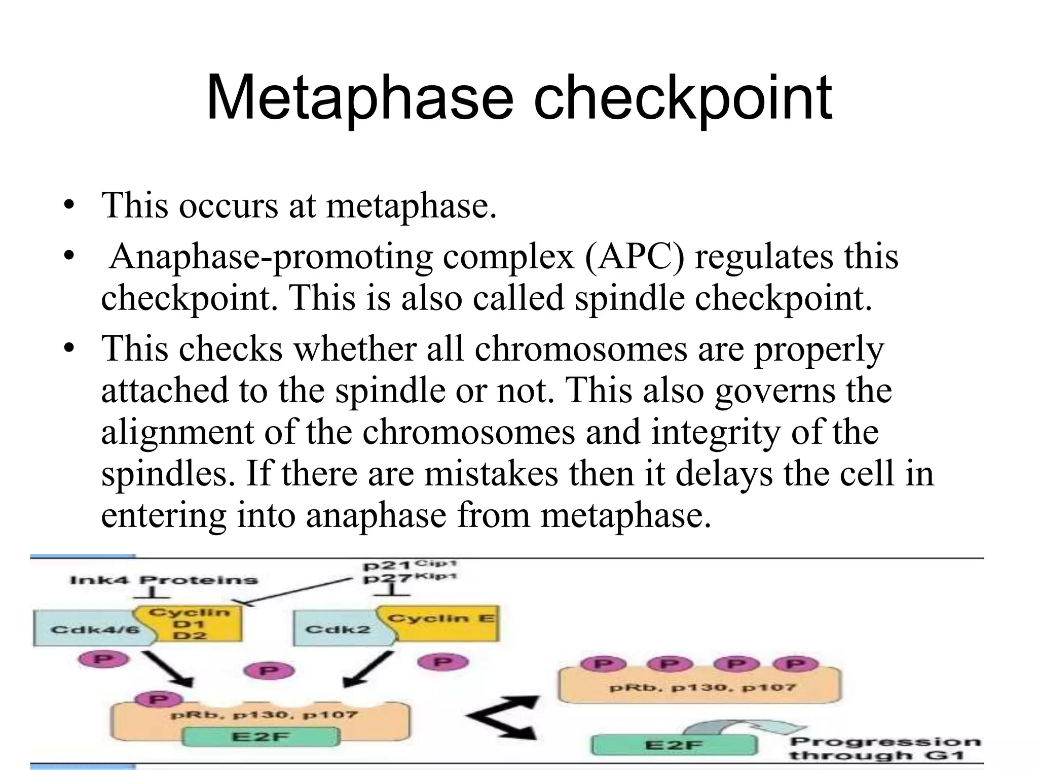 Cell cycle and its regulation | PPTX