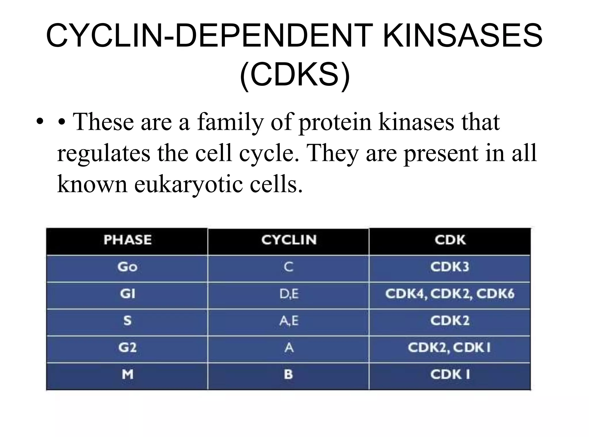 Cell cycle and its regulation | PPTX