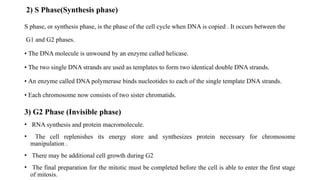 Cell Cycle and Its Regulation modified.pptx