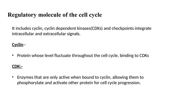 Cell Cycle and Its Regulation modified.pptx