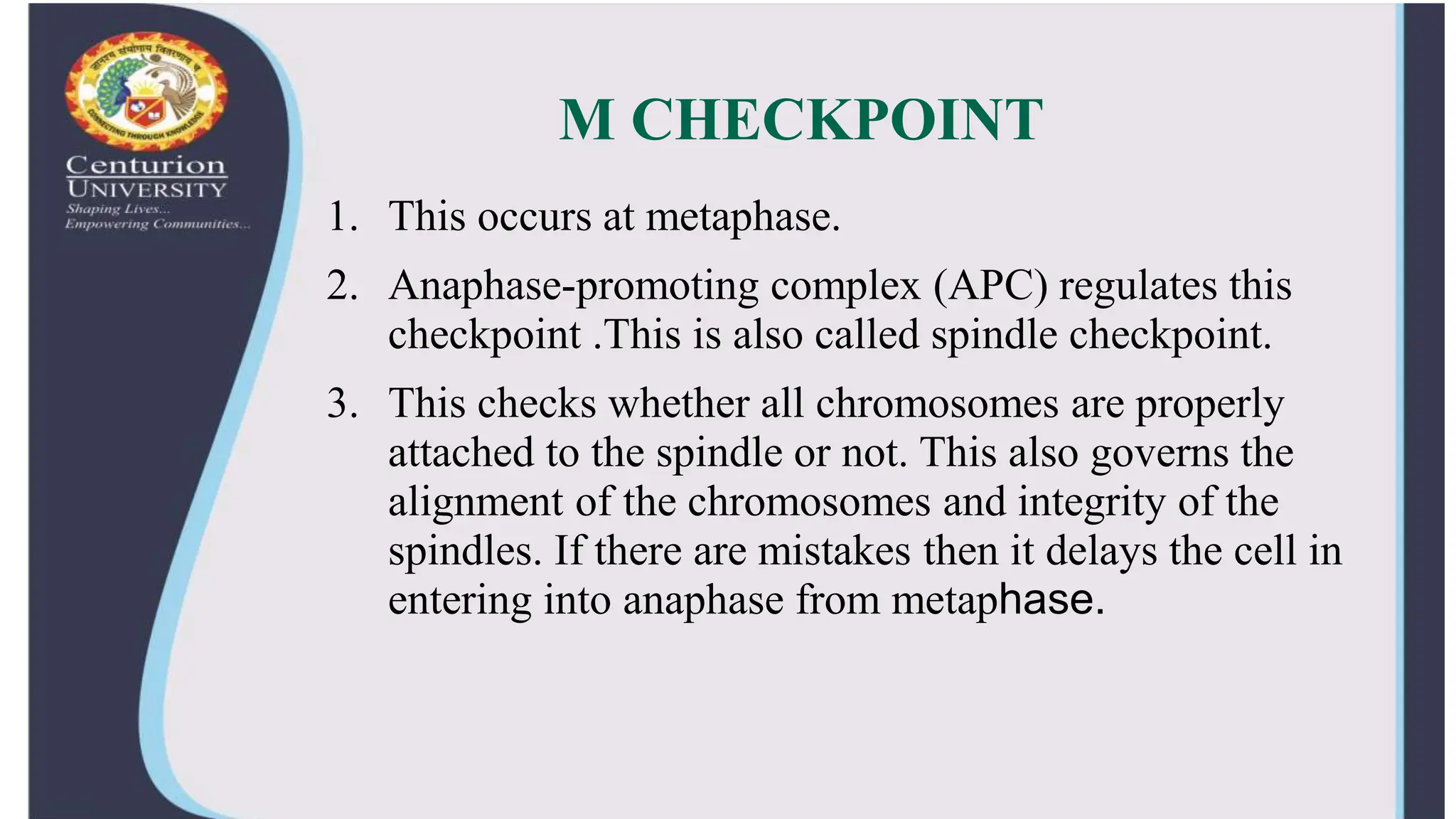 Cell cycle checkpoints and it's regulations | PPTX