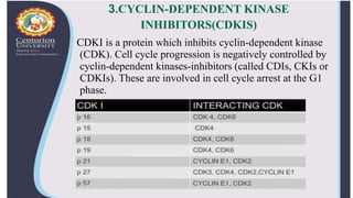 Cell cycle checkpoints and it's regulations | PPTX