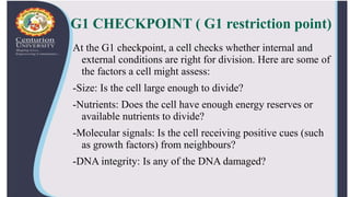 Cell cycle checkpoints and it's regulations | PPTX