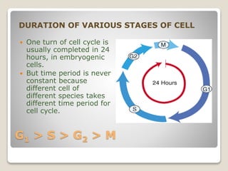 Cell cycle and its regulation | PPTX