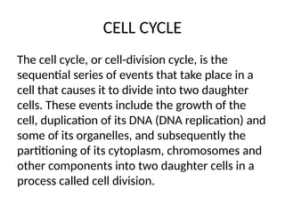 CELL CYCLE AND ITS ROLE IN REPAIrrR.pptx