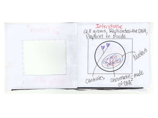 Cell Cycle And Microscope Notes | PPT