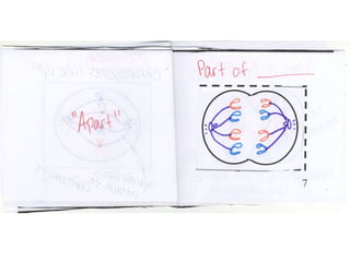 Cell Cycle And Microscope Notes | PPT